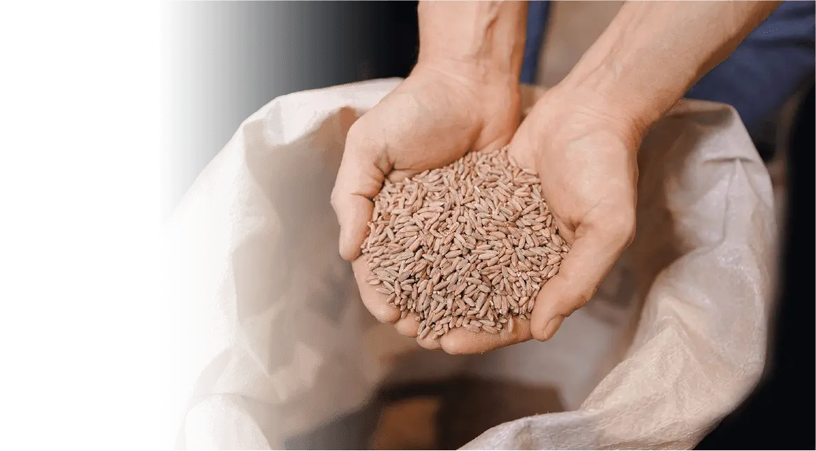 Siha & Afia International - Organic Food & Natural Food